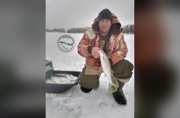 Какая рыба и где ловится в Астраханской области на этих выходных